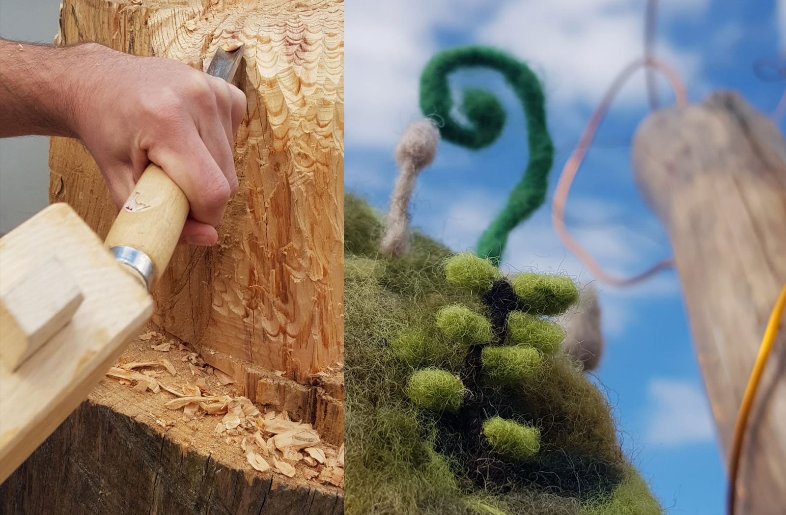 Floracult - ABA Roma