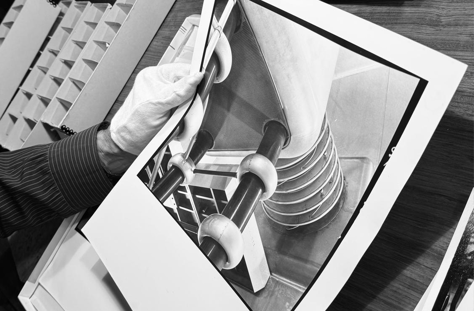 Kim Steele - ABA Roma